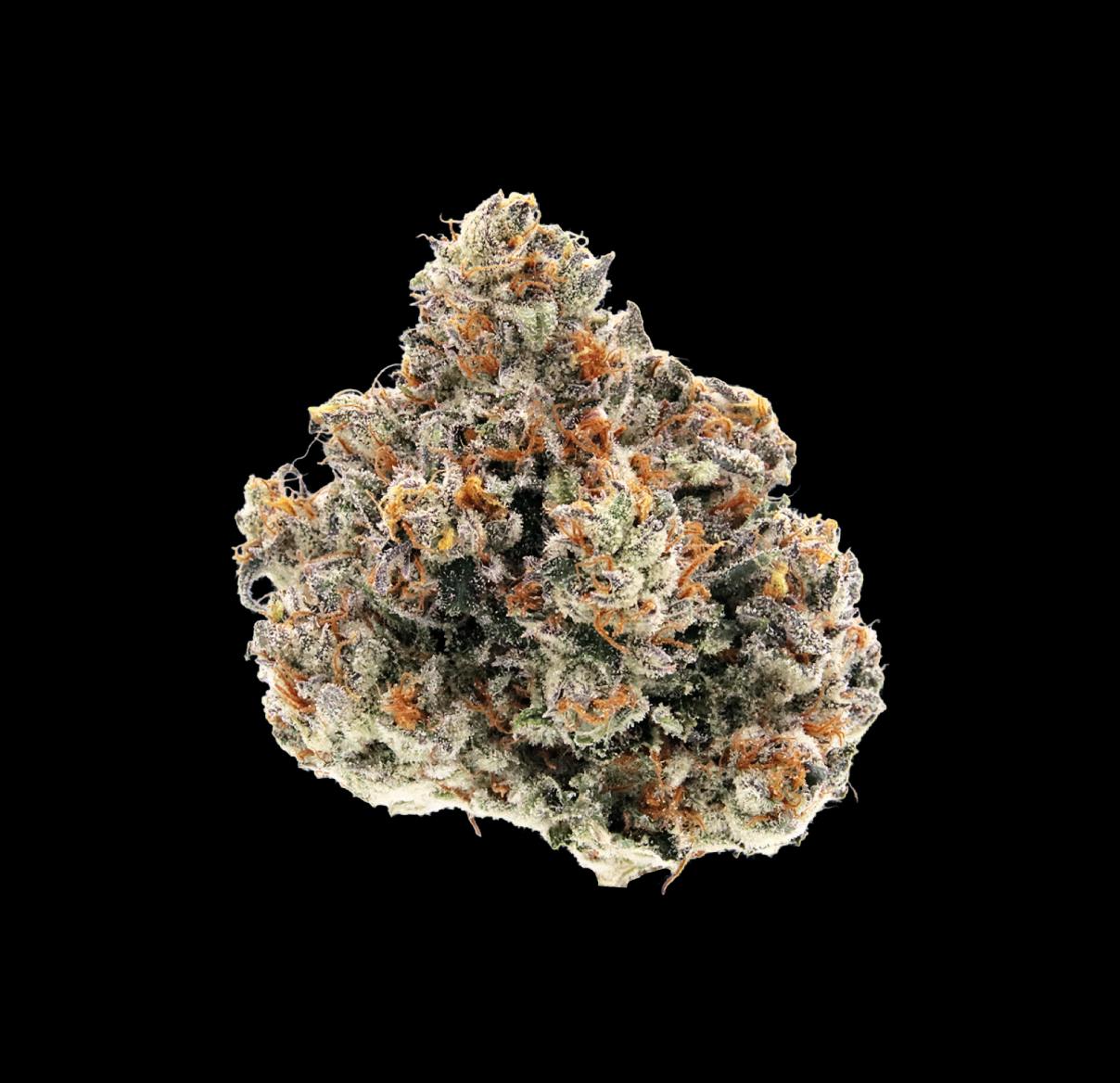 Caleta Flower | Flame Banger - Auraz
