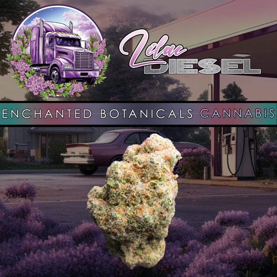 Enchanted Botanicals | Lilac Diesel | Flower - Enchanted Botanicals
