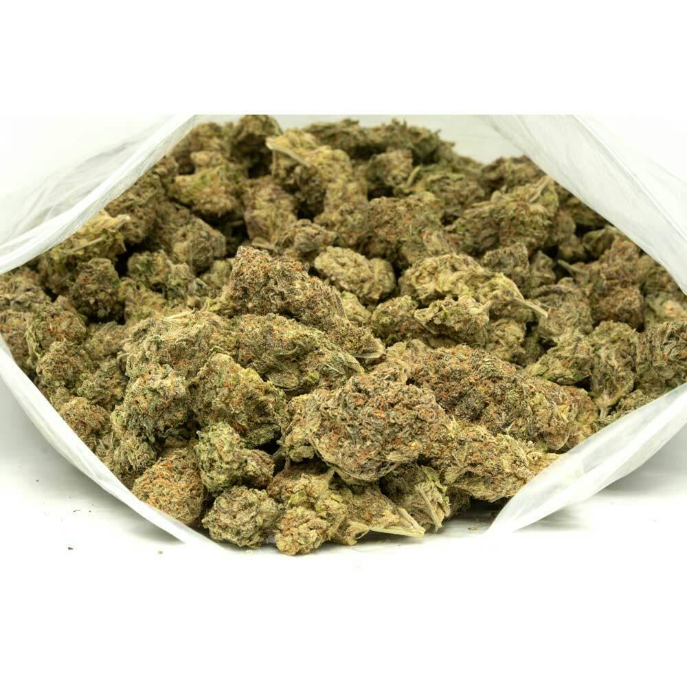 Gelato 33 (Low-Shelf) - Hybrid - LA Native