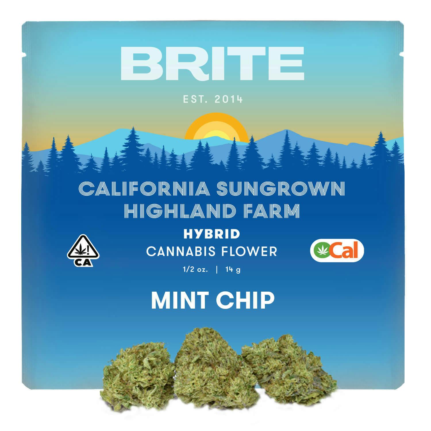 BRITE Highland OCal Sun-Grown Flower (14g) - Hybrid - Mint Chip - Brite ...