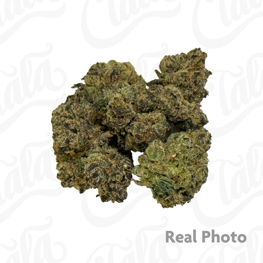 Purple Runtz - 7 gram - Stingers