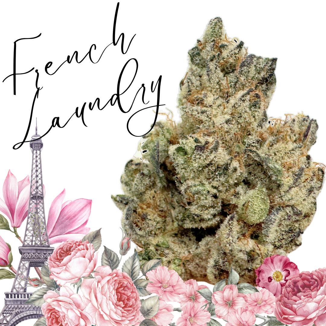 French Laundry | Top-Shelf | Indoor | Limited Drop! | 3.5g | Eighth ...