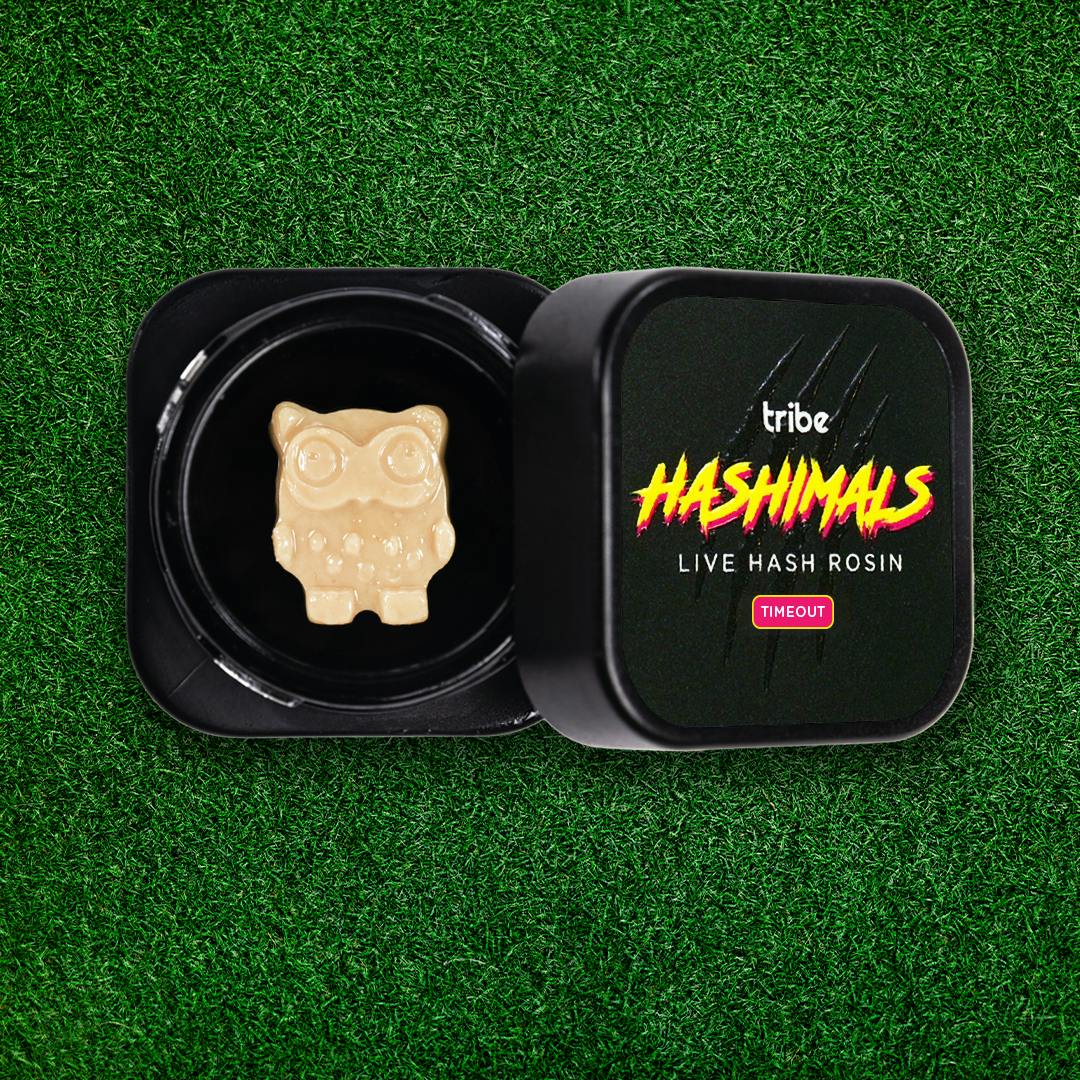 Timeout - Hashimals - Live Hash Rosin - Owl - 1g - Tribe