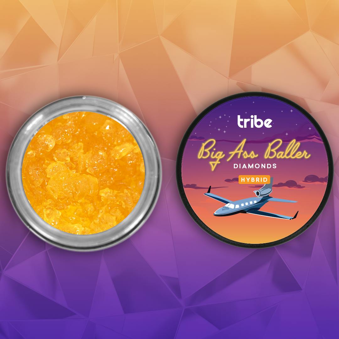 Mountain Top Pine - Diamonds and Terps - Baller - 7g - Tribe