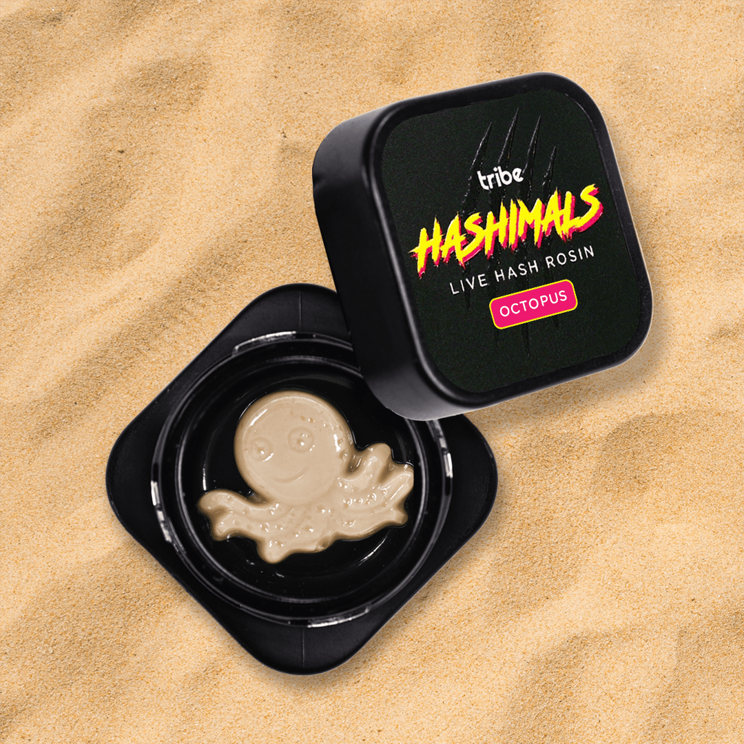 Timeout - Hashimals - Live Hash Rosin - Octopus - 2g - Tribe