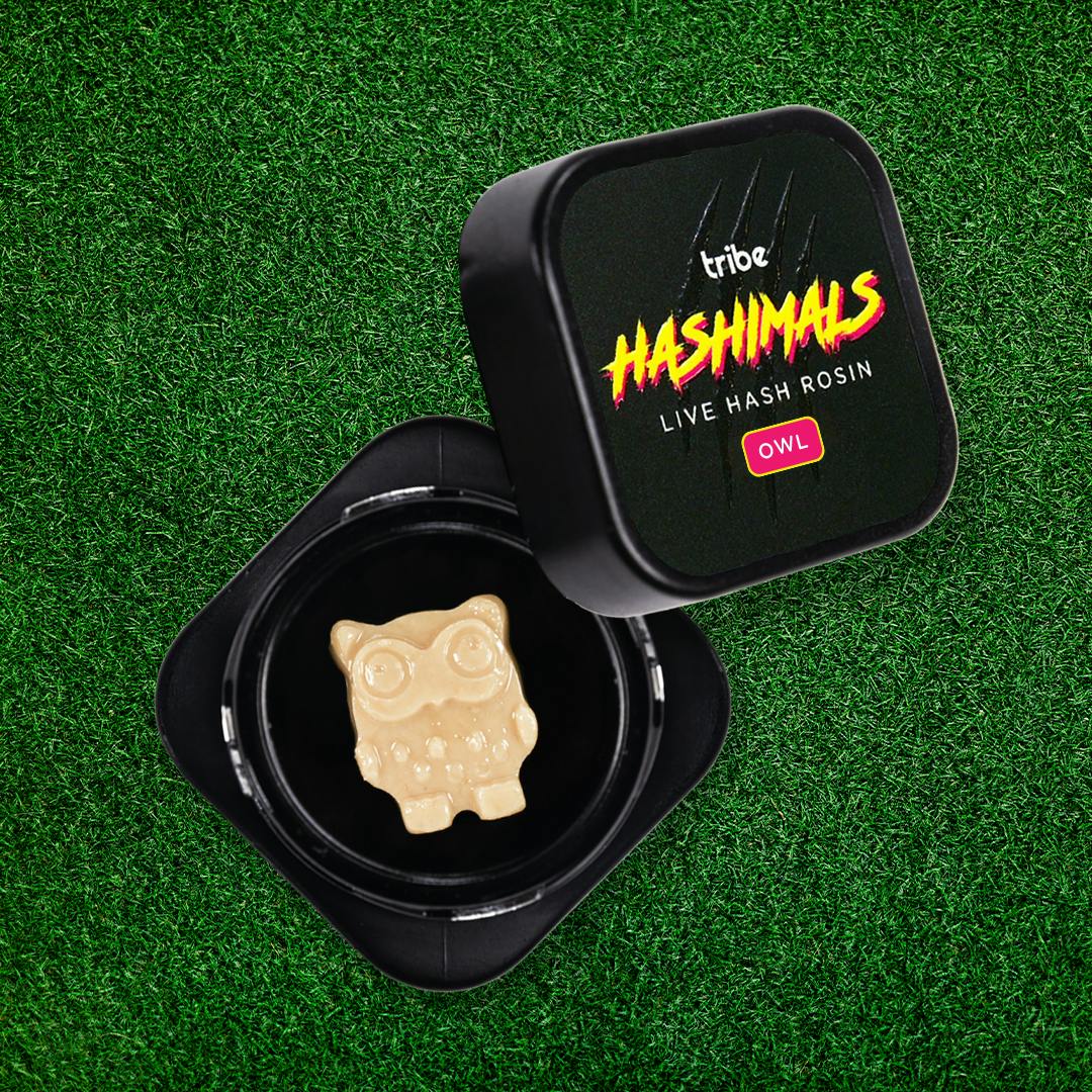 Tangie Jelly - Hashimals - Live Hash Rosin - Owl - 1g - Tribe