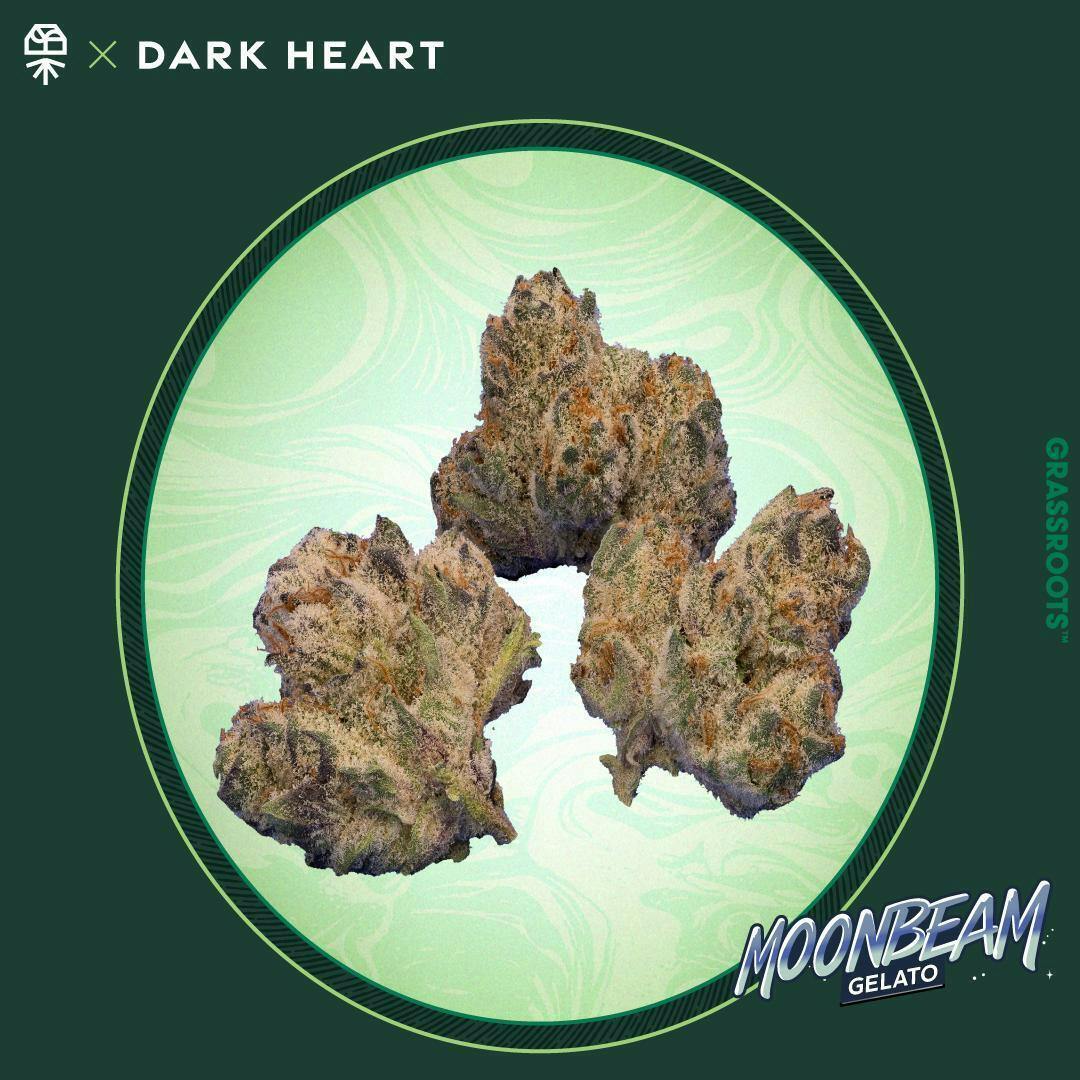 Moonbeam Gelato Small Buds - Dark Heart Collection - Curaleaf - St ...