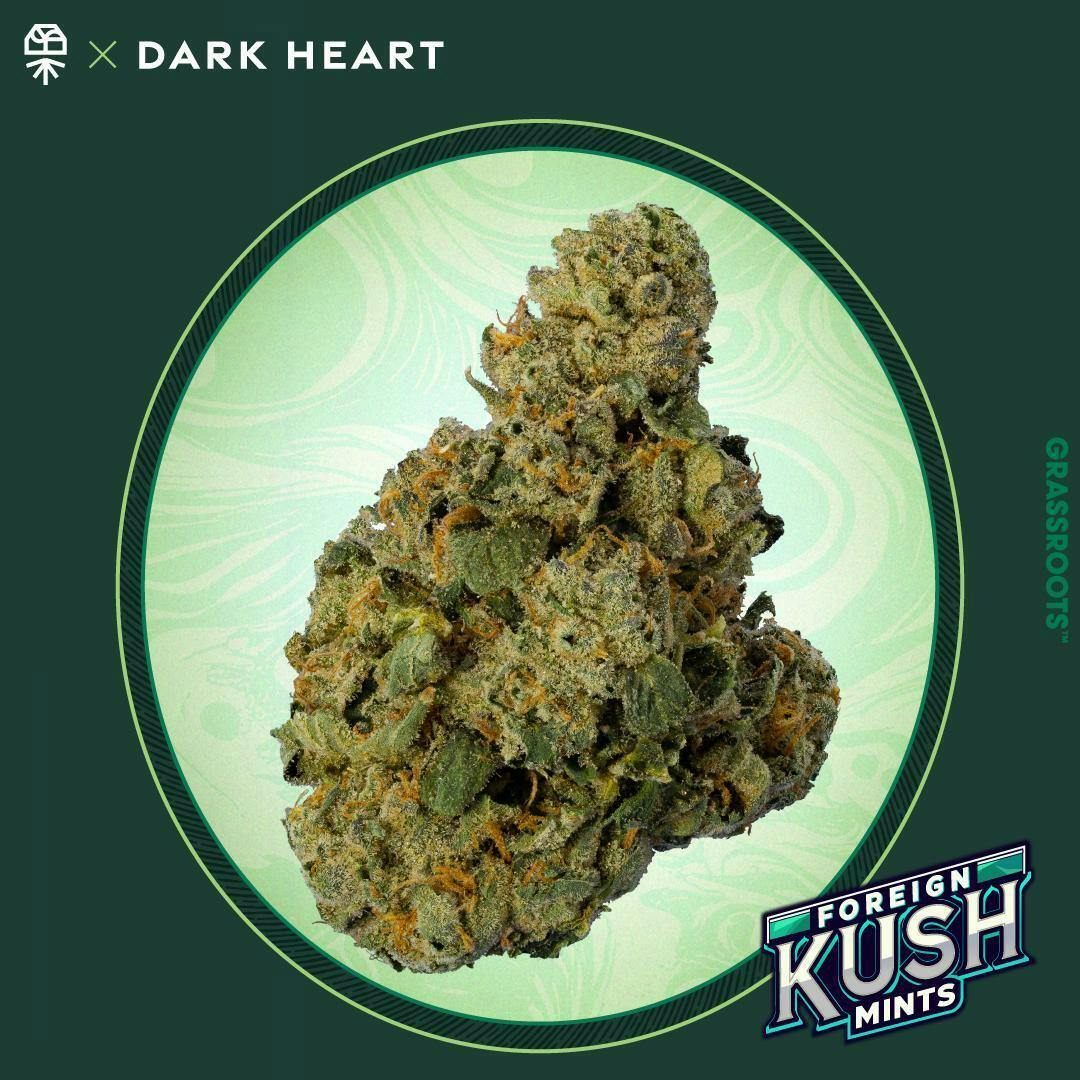 Foreign Kush Mints Whole Flower - Dark Heart Collection - Grassroots