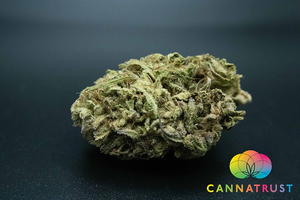 GMO Cookies 8th/3.5Grams(32%THC, Indica) - Trusty Transportations