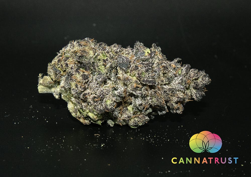 Hash Burger 1/2 Ounce/14Grams(35%THC, Indica) - Trusty Transportations