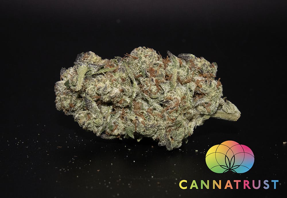 Gush Mints 8th/3.5Grams(32%THC, Hybrid) - Trusty Transportations