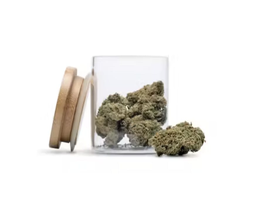 Bloom Montana | Bolo Runtz | Flower | 7G - Bloom Montana