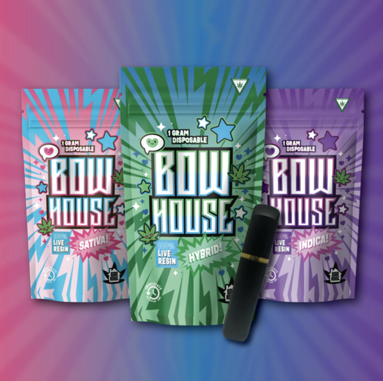 BowHouse | Pink Guava | Disposable | 1G - BowHouse