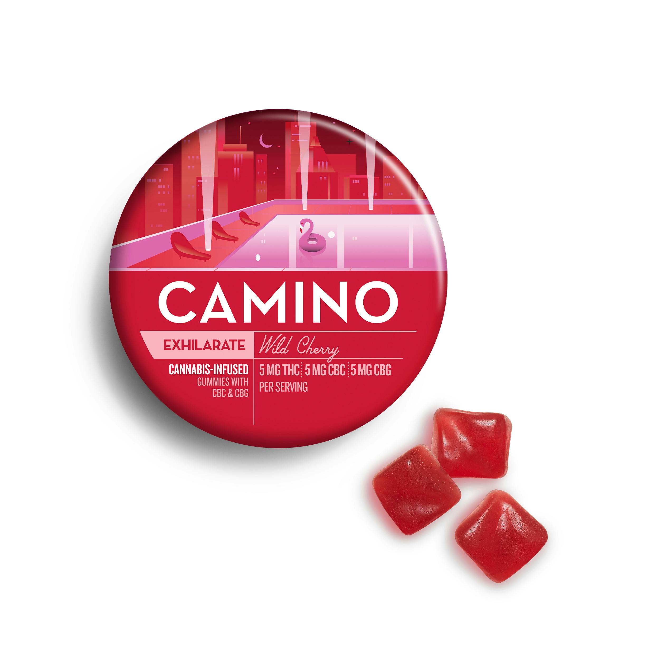 Camino Wild Cherry "Exhilarate" Gummies [20pk] - Kiva Confections