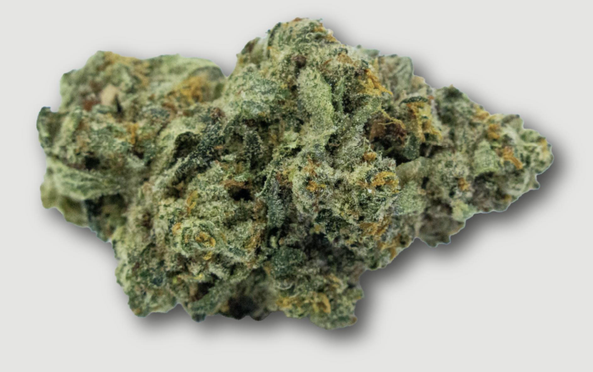 Purlife | Alien OG | Flower | 14G - Purlife