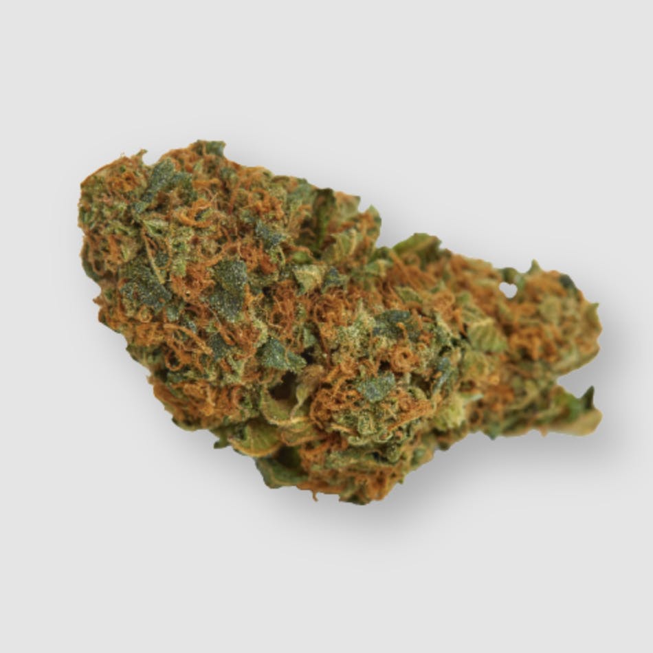 Purlife | Lemon Suit Larry | Flower | 14G - Purlife