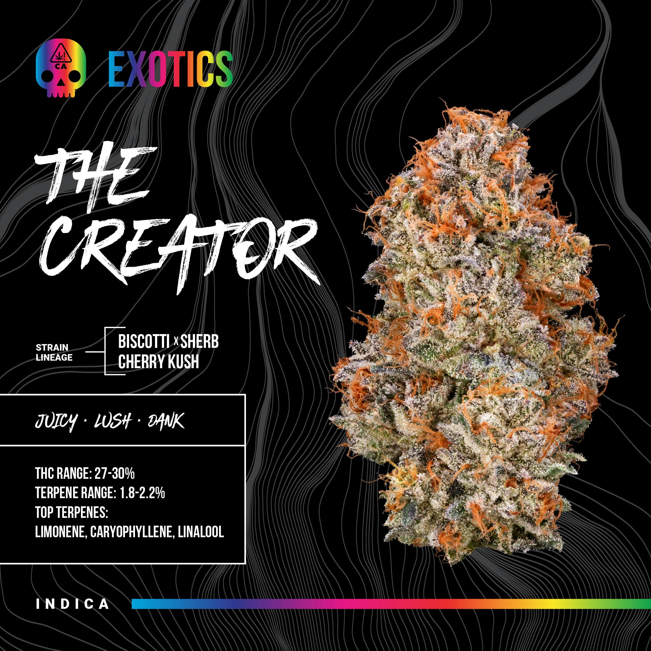 BOSKY - The Creator (3.5G) - Bosky Genetics