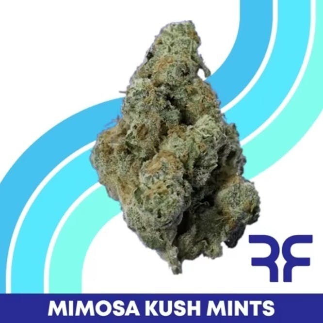 Mimosa Kush Mints Whole Flower - REEF Cannabis