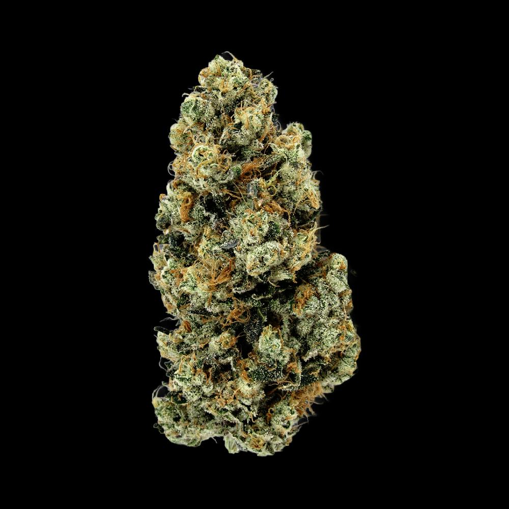 Premium Flower | GMO #33 | Small Buds - Auraz