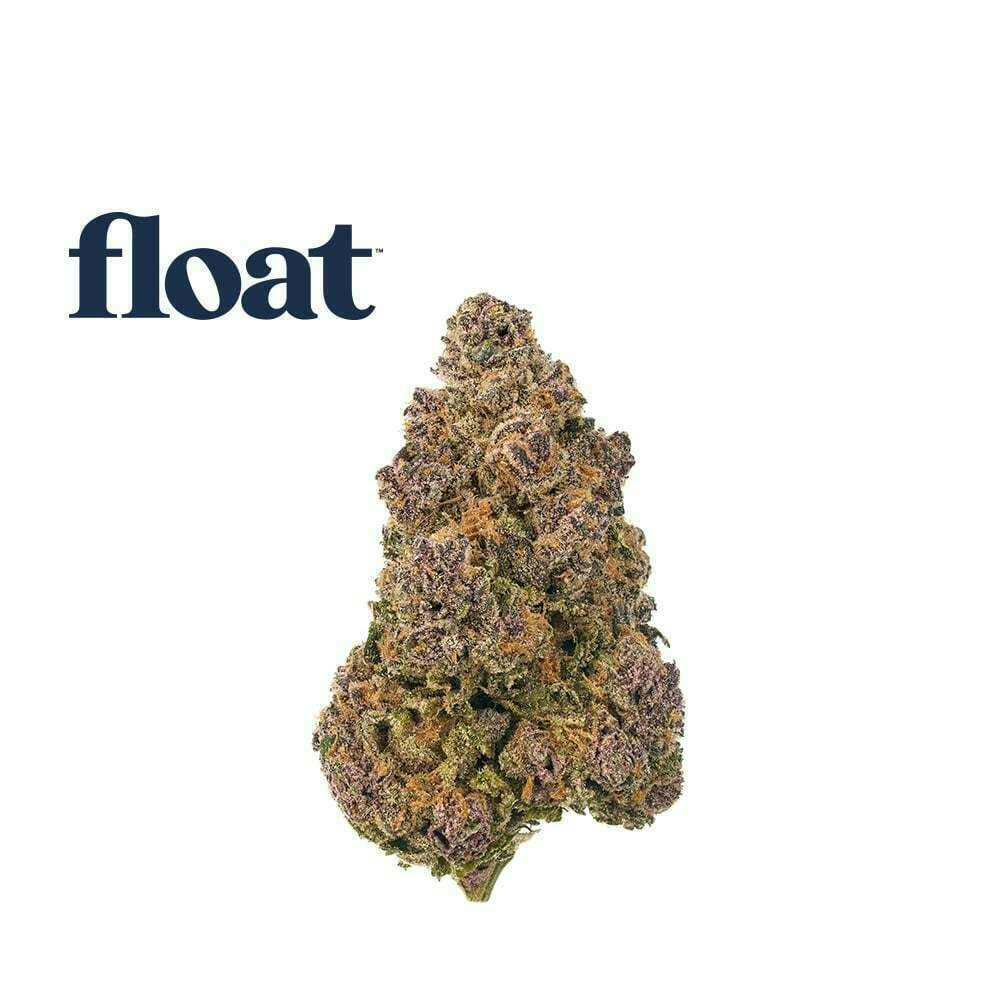 Float - Mauve Mochi Flower 3.5g - Float