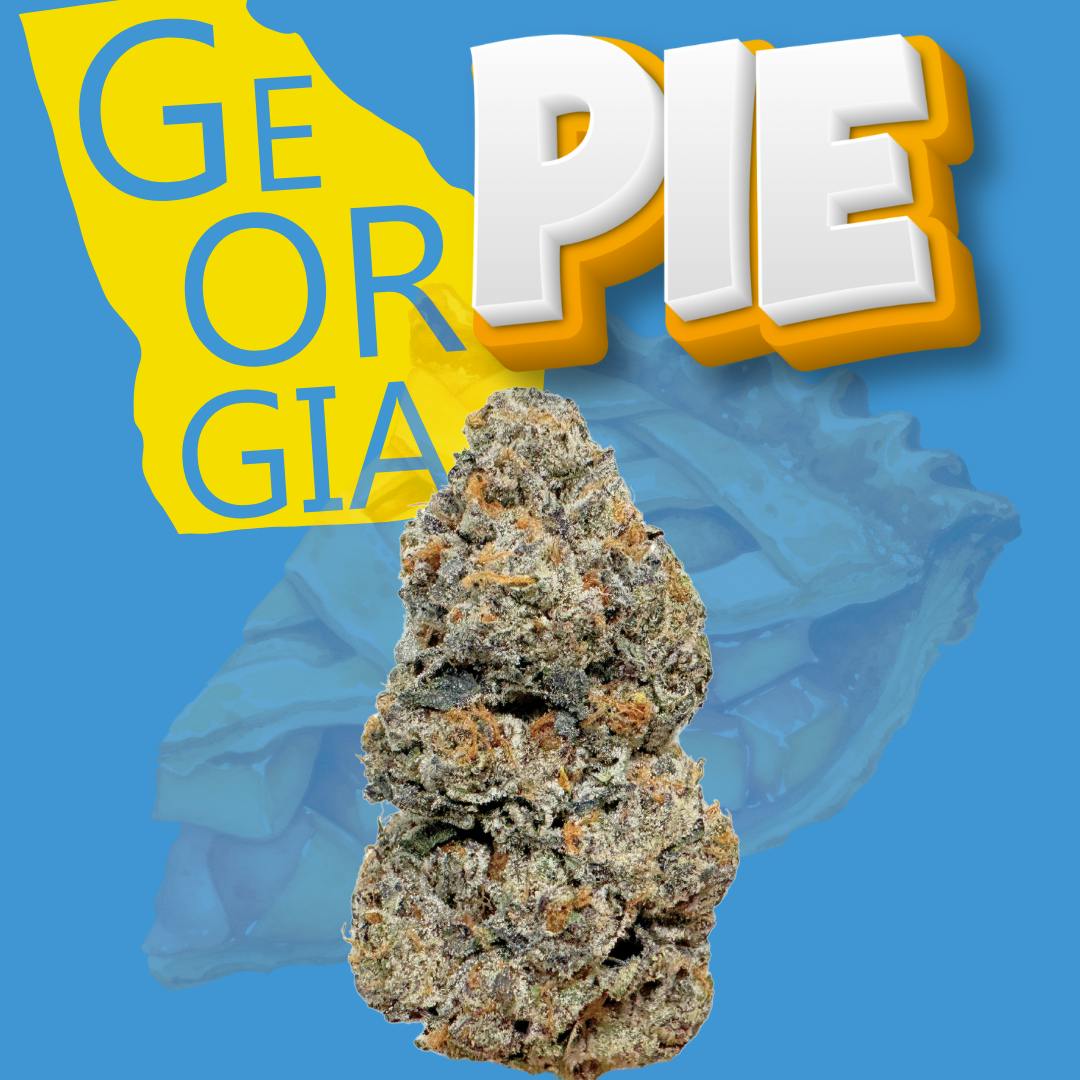 Gerogia Pie | Top Shelf | Indoor | Limited Drop | 3.5g | Eighth - SUPPLY LA