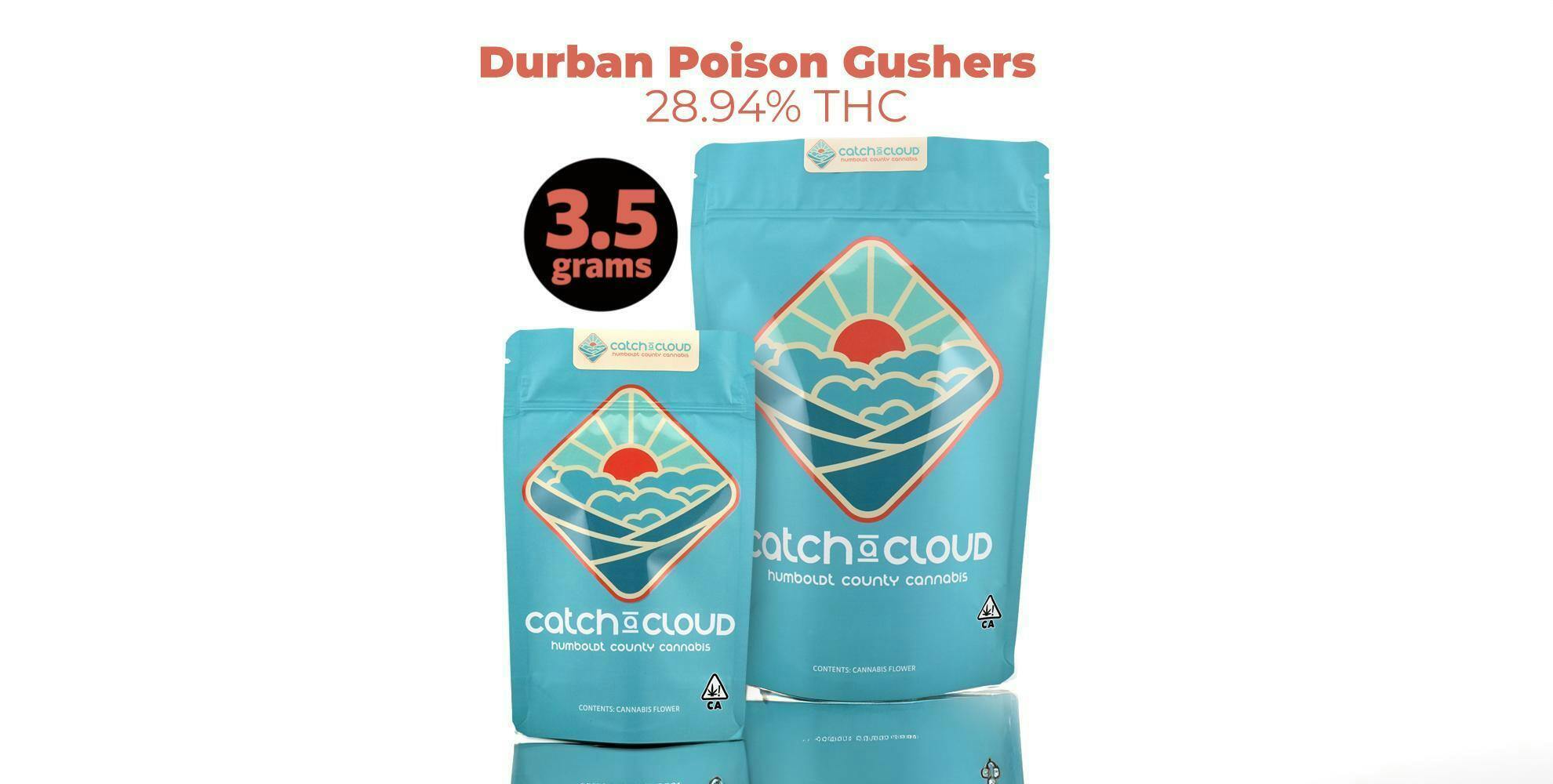CAC Durban Poison Gushers 3.5g (s) - Catch A Cloud