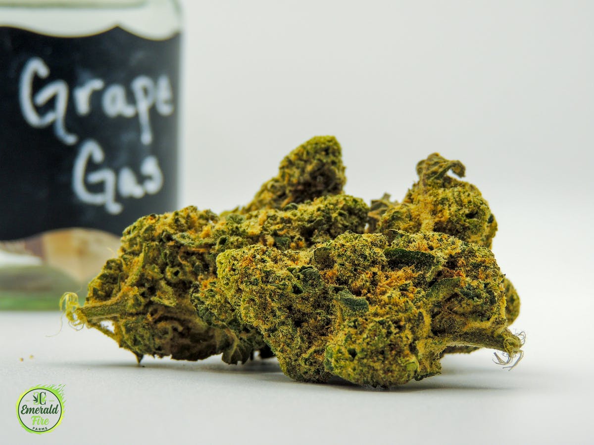 Grape Gas Bs Buds - Emerald Fire Farms