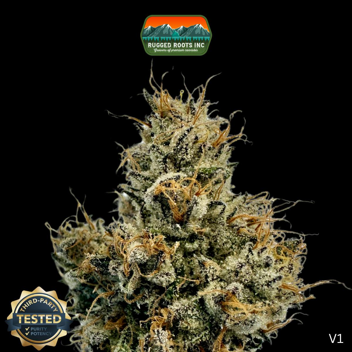 Rugged Roots | Bolo Runtz 3.5g - Rugged Roots