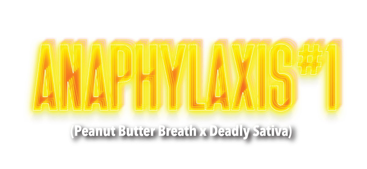 Anaphylaxis #1 | 14g | Pre-Pack - Burly Botanicals