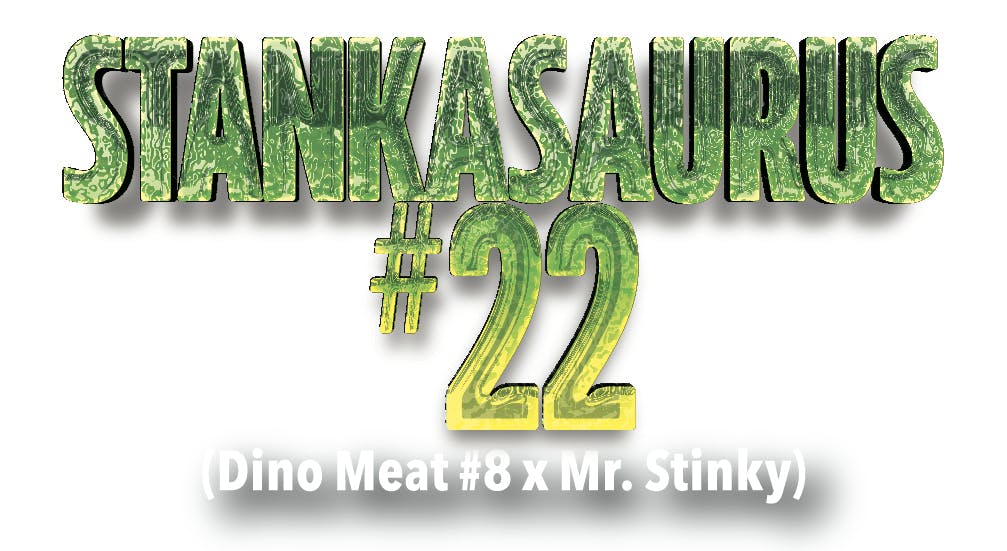 Stankasarus #22 | 3.5g | Pre-Pack - Burly Botanicals