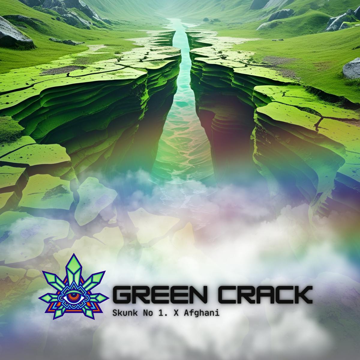 Green Crack - 1g Packaged Preroll - Emerald Visions