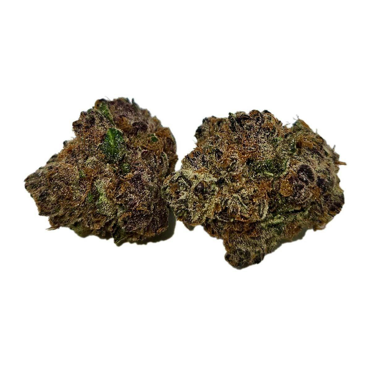 Sherbcake x Trop Cookies - Freedom Road