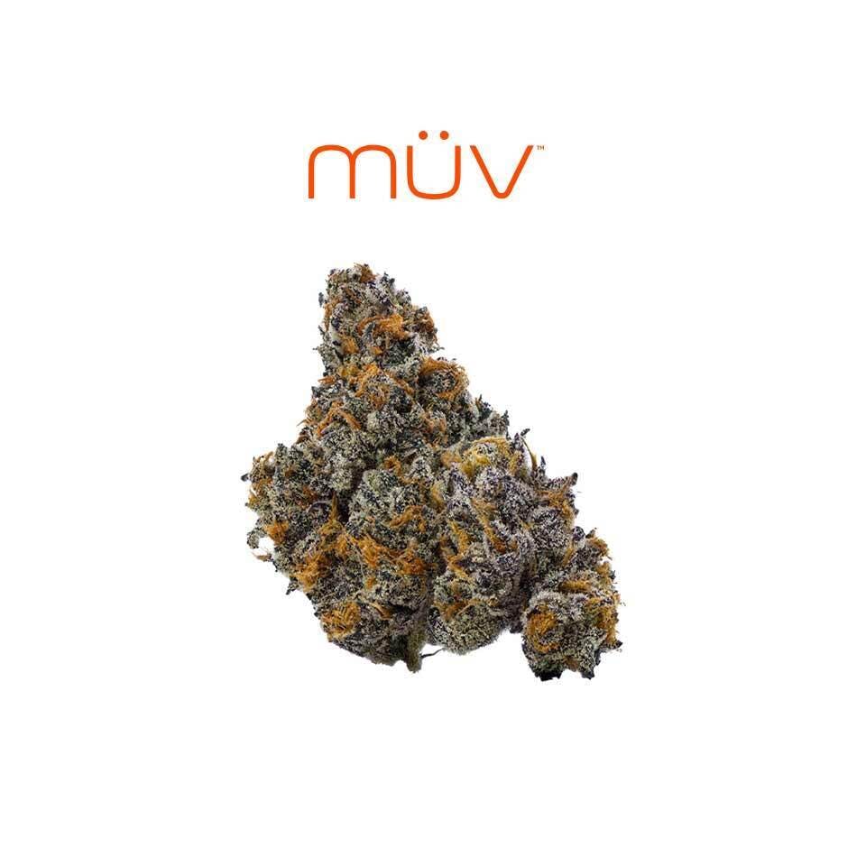 MUV Flower - 3.5g - Peyote Prple x MAC - MÜV Cannabis Infused Products