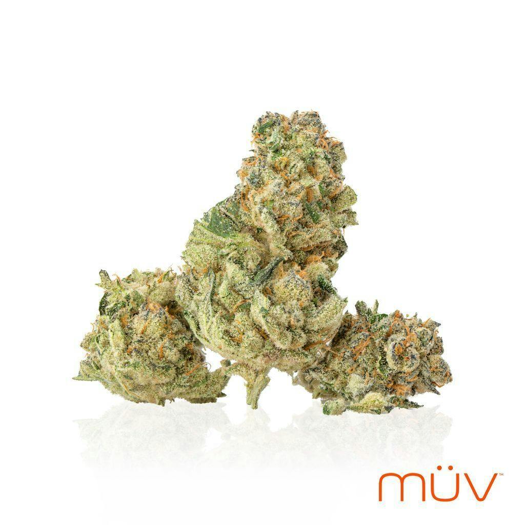 MUV Flower - 3.5g - Nimbus Snacks - MÜV Cannabis Infused Products