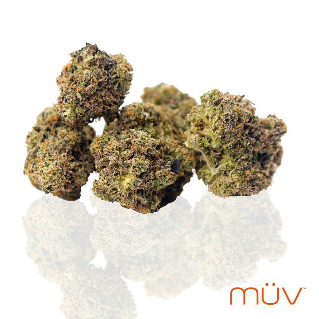 MUV Flower - 3.5g - Sweet Apple Crumble Pie - MÜV Cannabis Infused Products