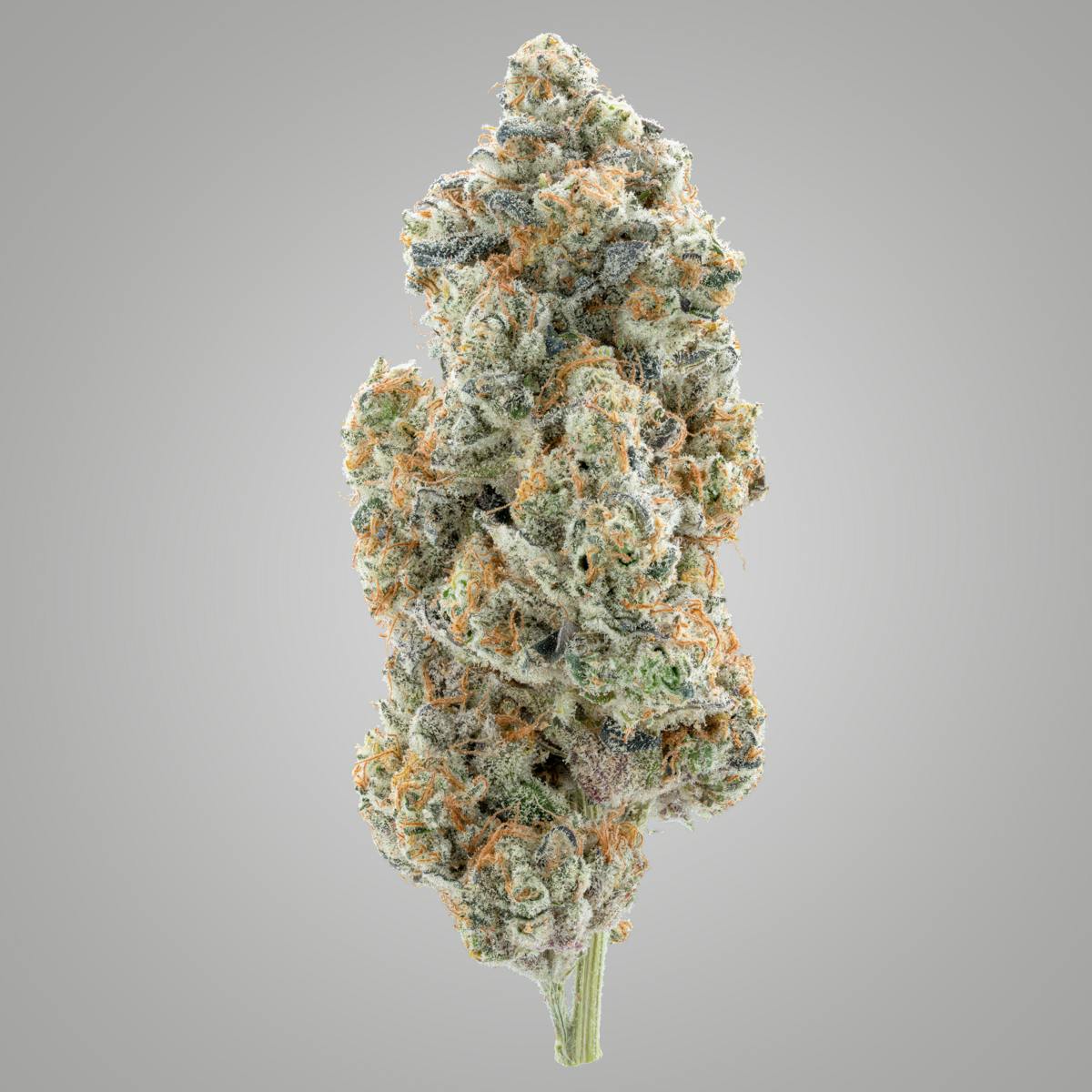 Acai Mints | High Rise Cannabis - High Rise Extracts