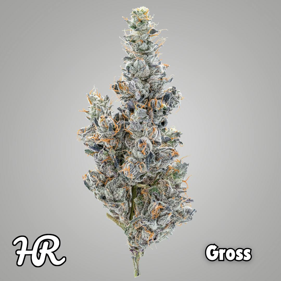 Gross | High Rise Cannabis - High Rise Extracts