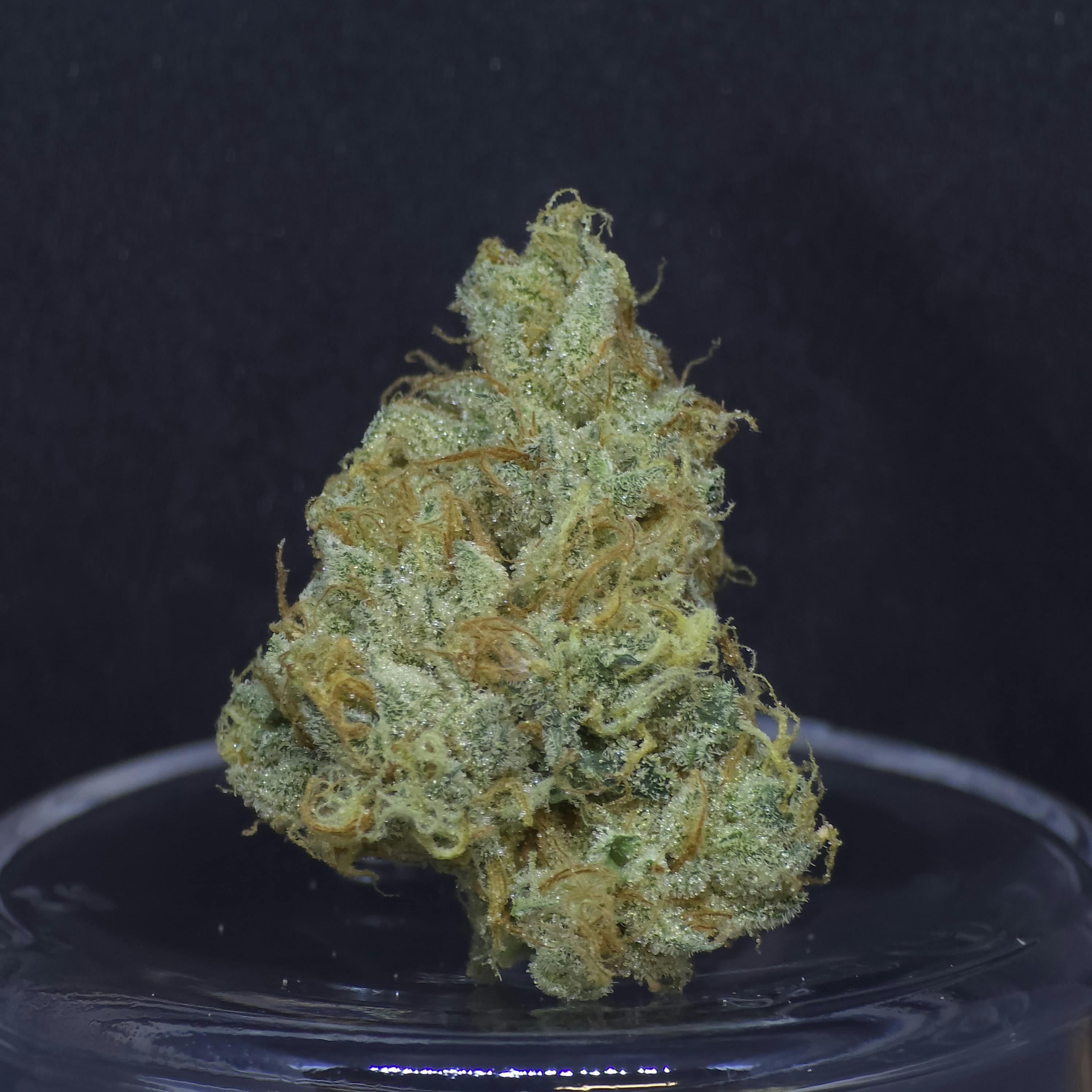The Kush .5g - 2 Pack - BAM Alaska