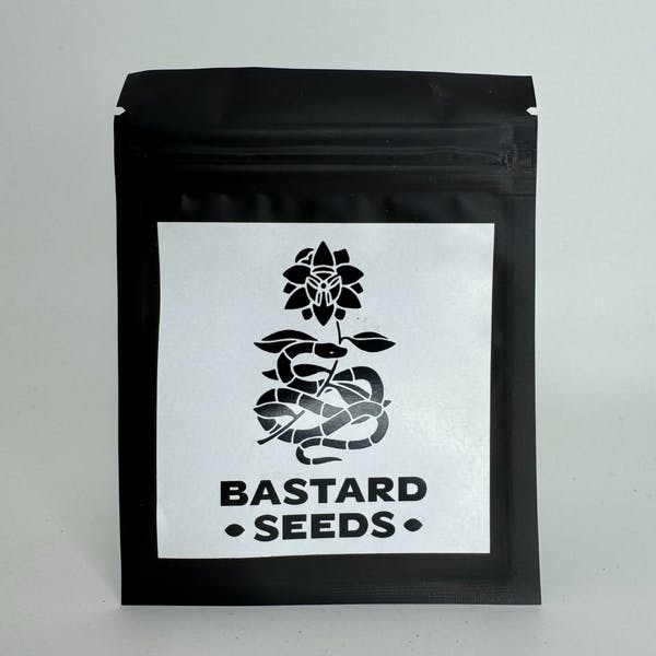 Mother Magnolia - Alpha Gruntz x Snow Skunk 10pk - Mother Magnolia ...