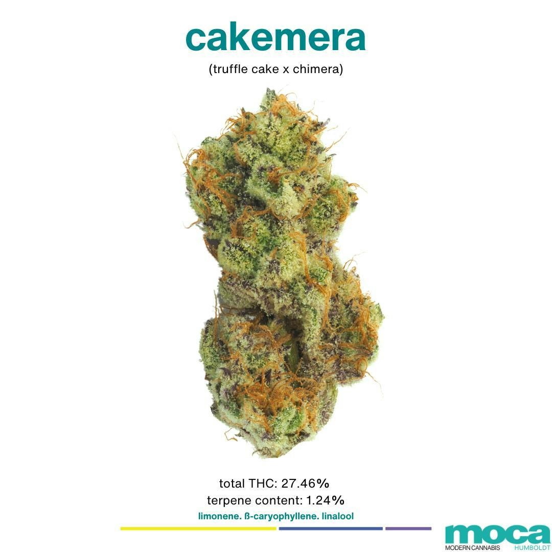 MOCA Flowers - Smalls 1/4 Bag - Cakemera - MOCA Humboldt
