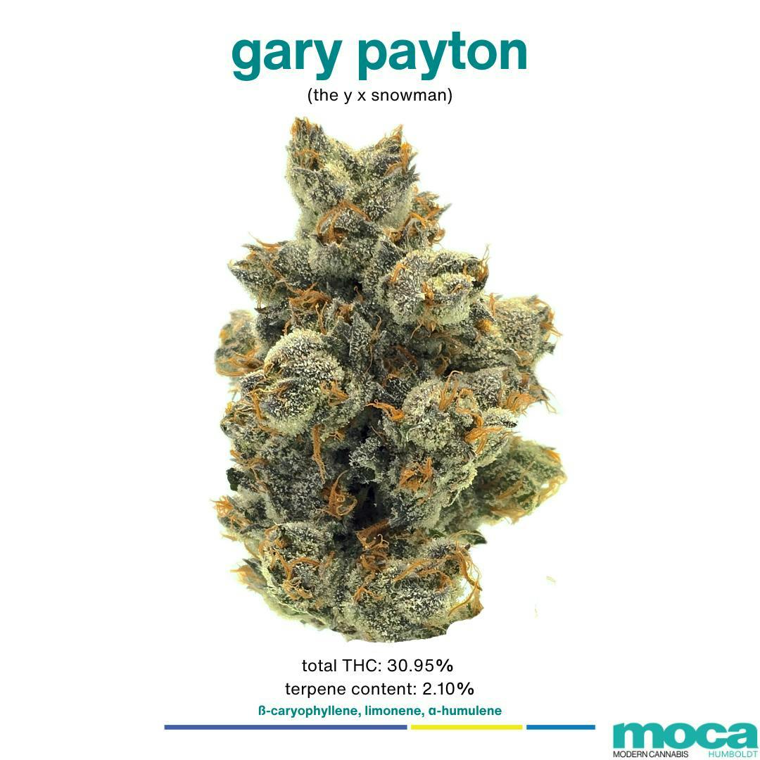 MOCA Flowers - Smalls 1/4 Bag - Gary Payton - MOCA Humboldt