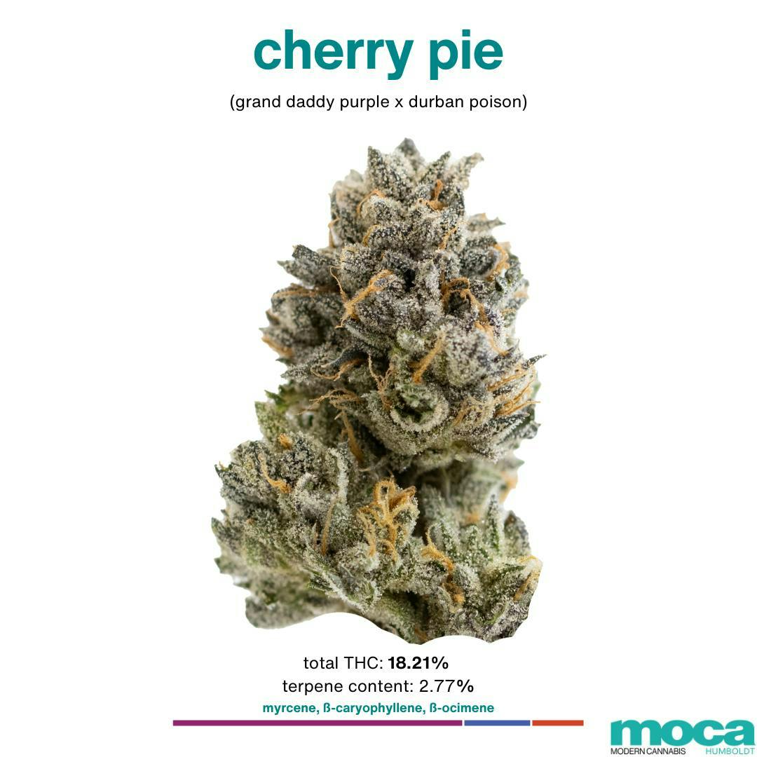 MOCA Flowers - Smalls 1/4 Bag - Cherry Pie - MOCA Humboldt