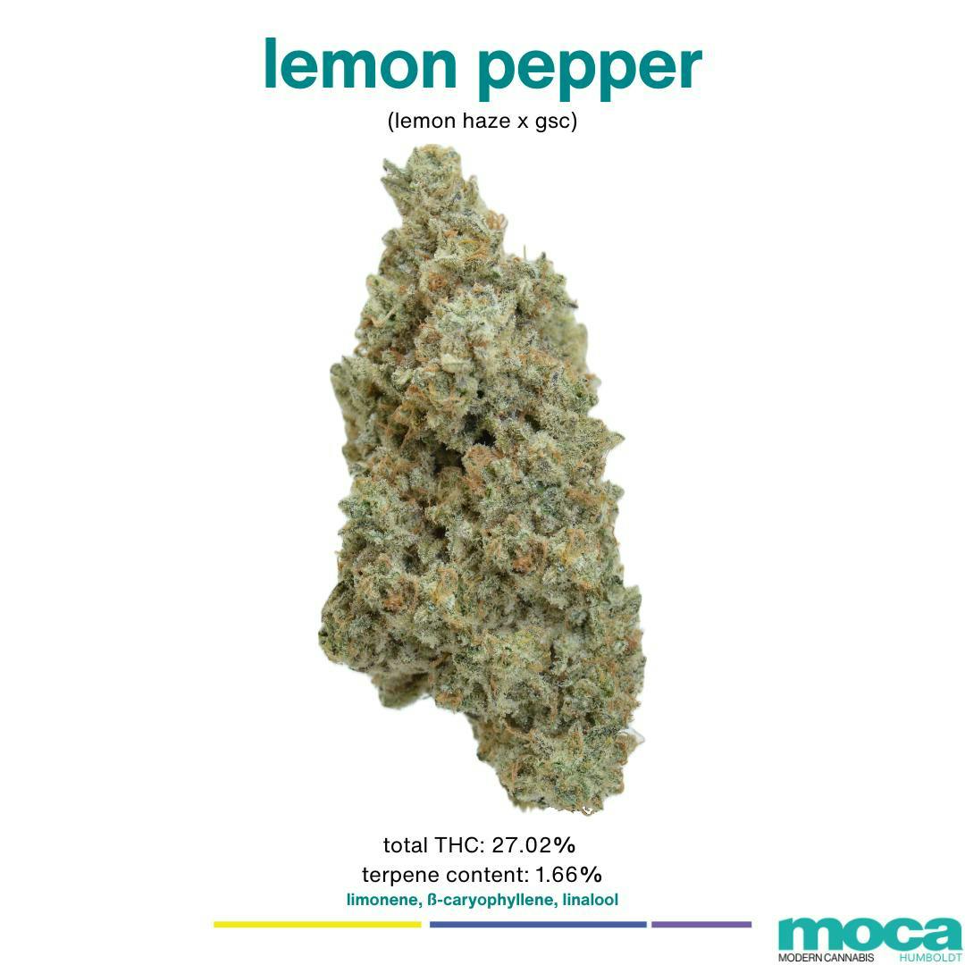 MOCA Flowers - 1/8th Jar - Lemon Pepper - MOCA Humboldt