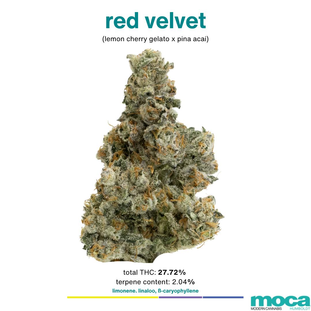 MOCA Flowers - Smalls 1/4 Bag - Red Velvet - MOCA Humboldt