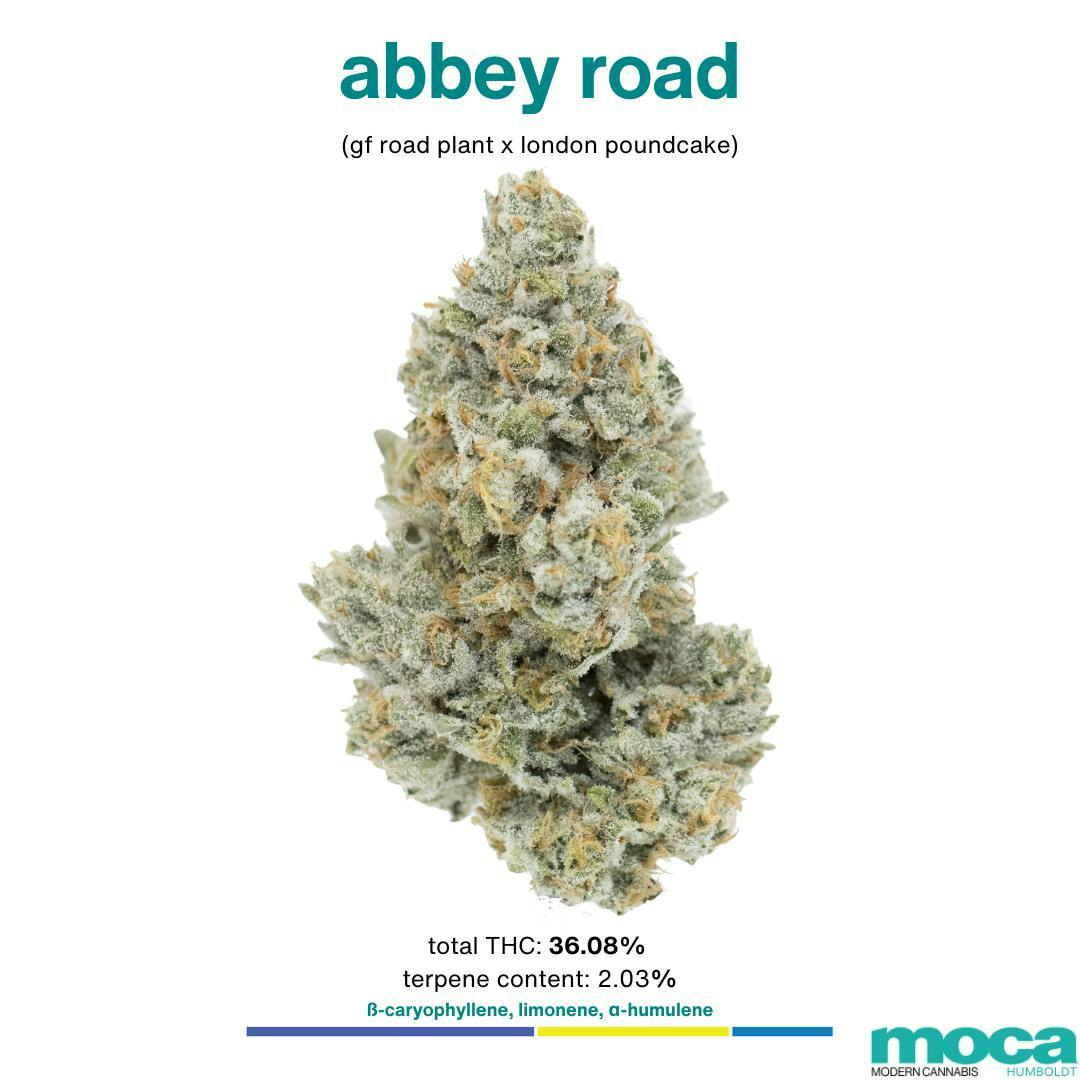 MOCA Flowers - 1/8th Jar - Abbey Road - MOCA Humboldt