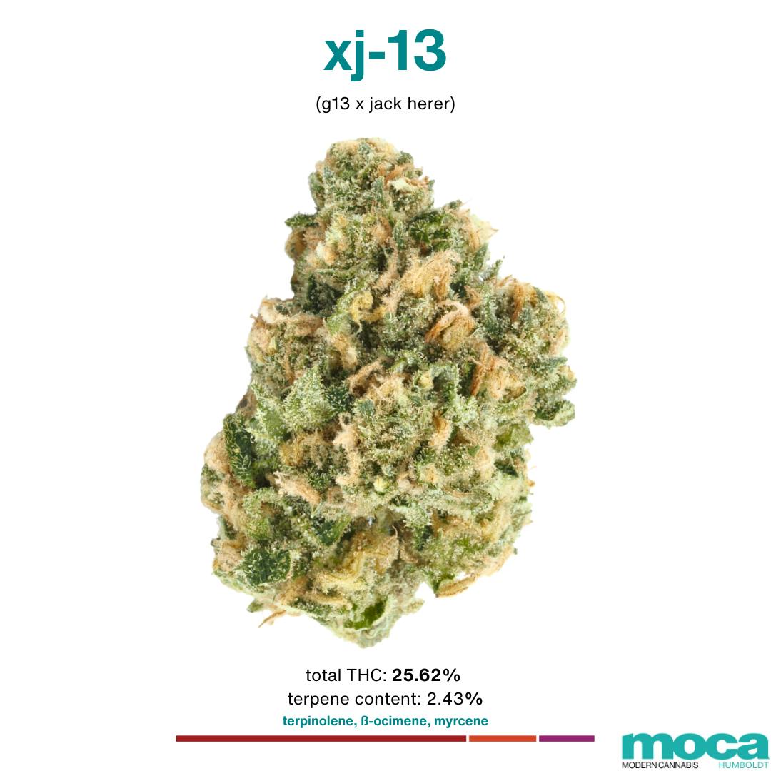 MOCA Flowers - 1/8th Jar - XJ-13 - MOCA Humboldt