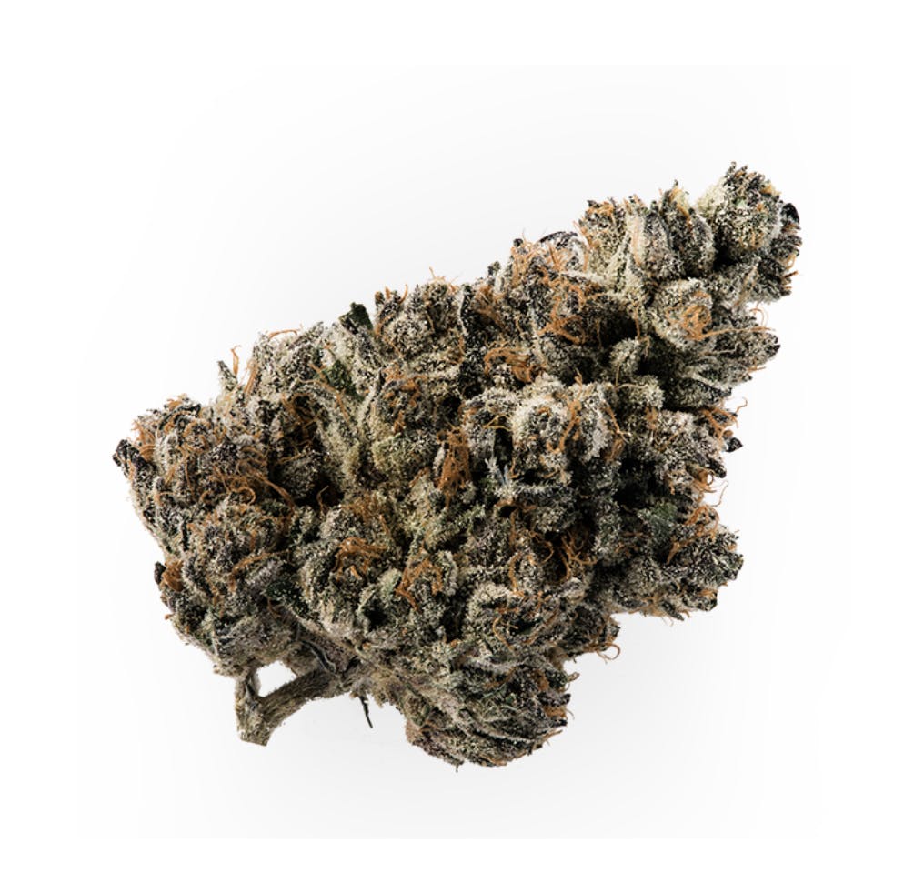 Prūf Cultivar | Midnight Tryst | Smalls | 7G - Prūf Cultivar