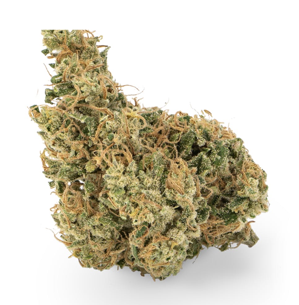 Prūf Cultivar | Mt. Hood Magic Durban | Smalls | 7G - Prūf Cultivar