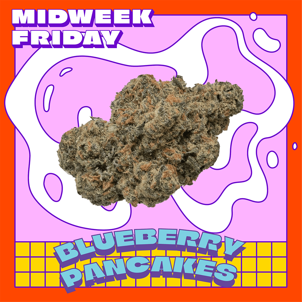 Blueberry Pancakes Smalls | 14g - Midweek Friday