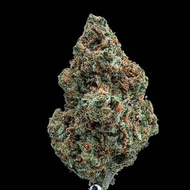 Super Lemon Haze - Bulk Flower - Bloom County